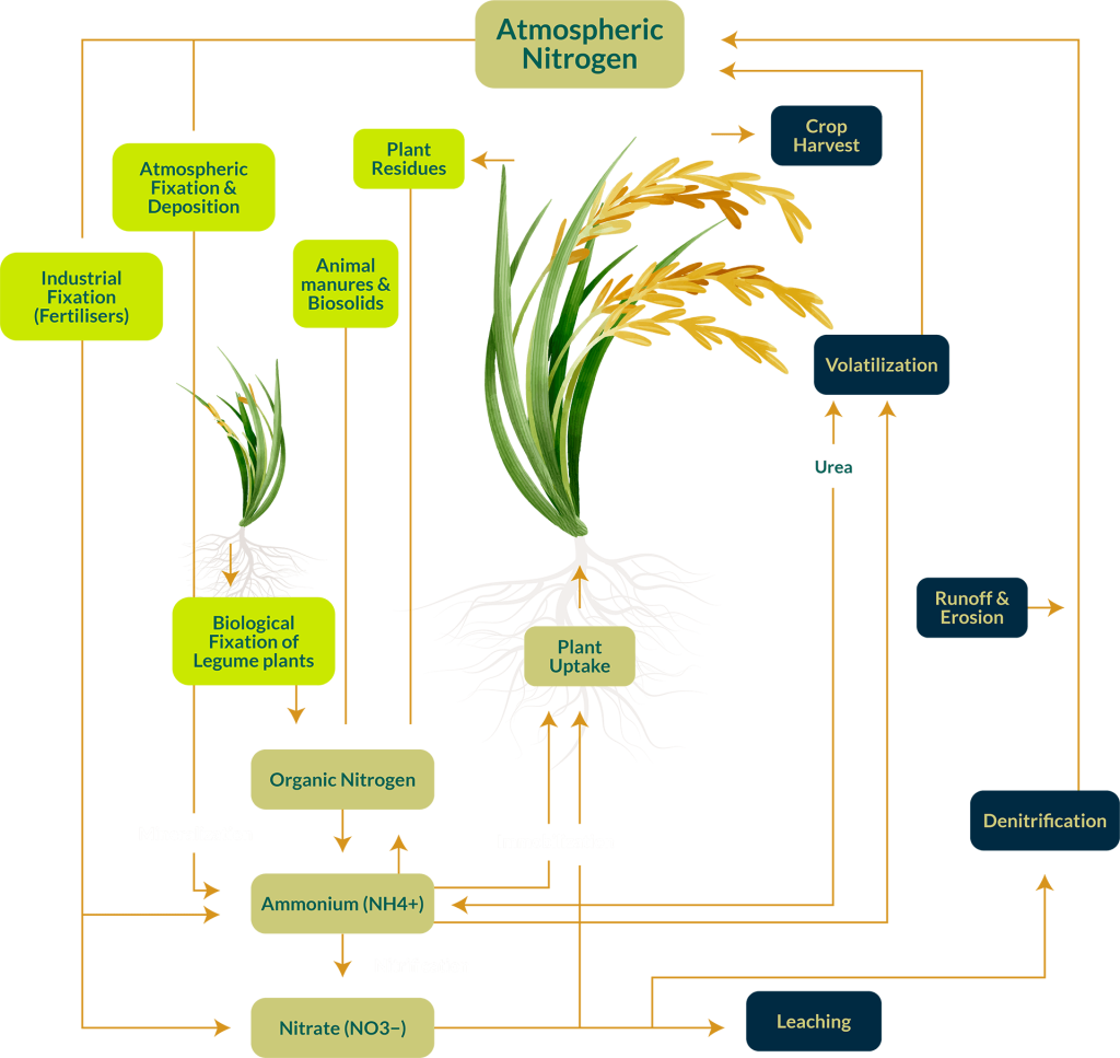 The Science – becat.org